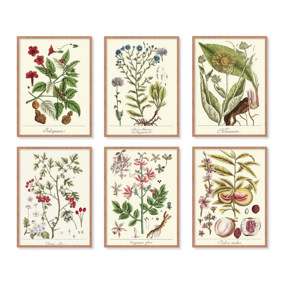 Collectible Cottage Core Multi-color Floral and Gold Design Metal Tin ...