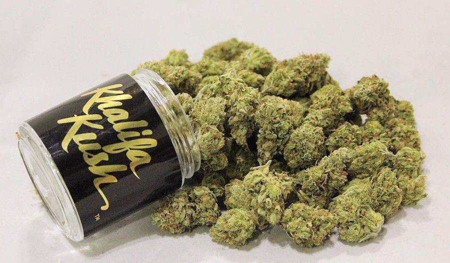 Wiz Khalifa Weed Strain Amber Ice