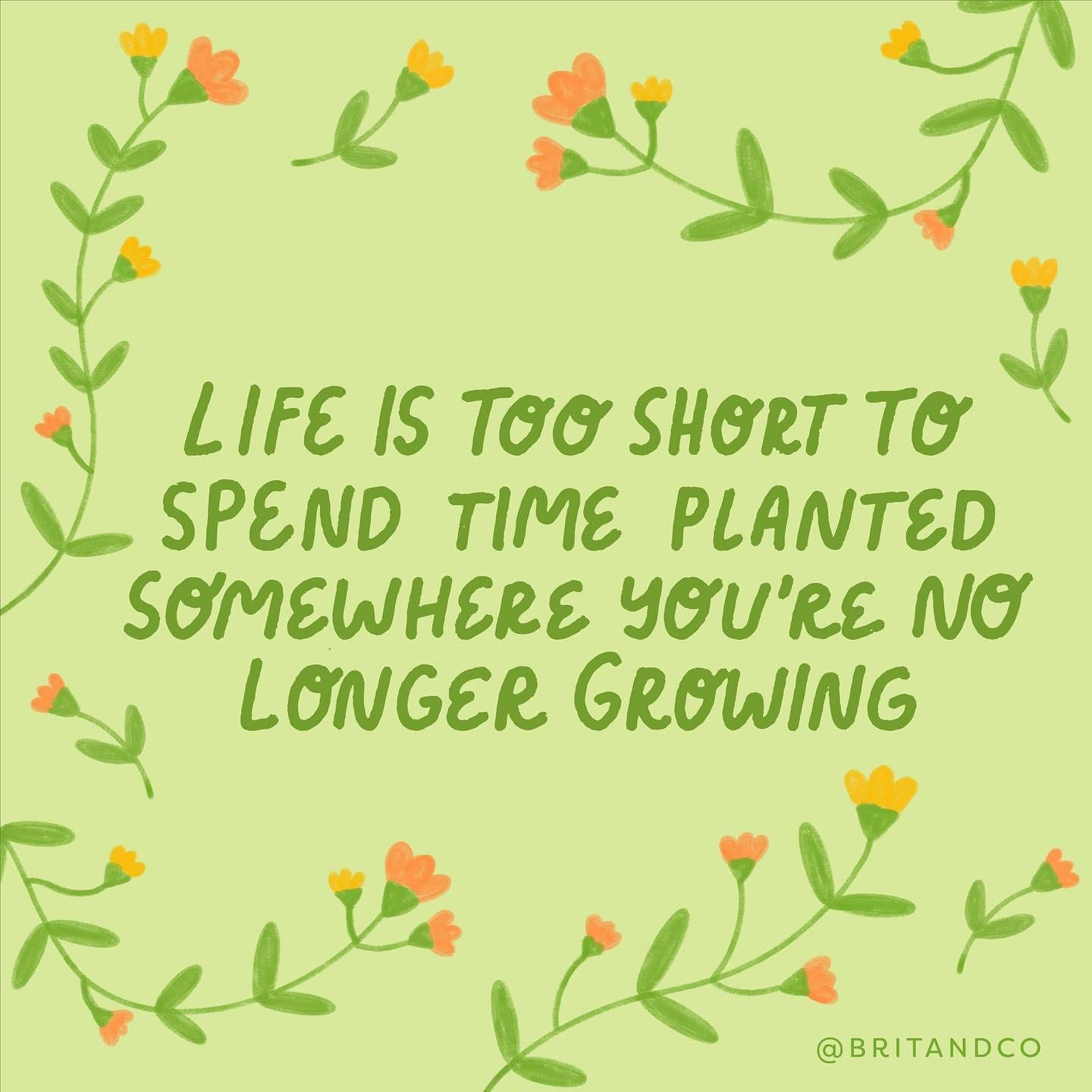 Cute Short Quotes About Life