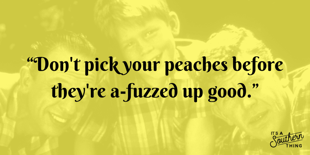 Inspirational Andy Griffith Quotes The Andy Griffith Show