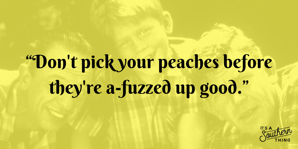 Famous Mayberry Quotes The Andy Griffith Show' Cast And Characters: A