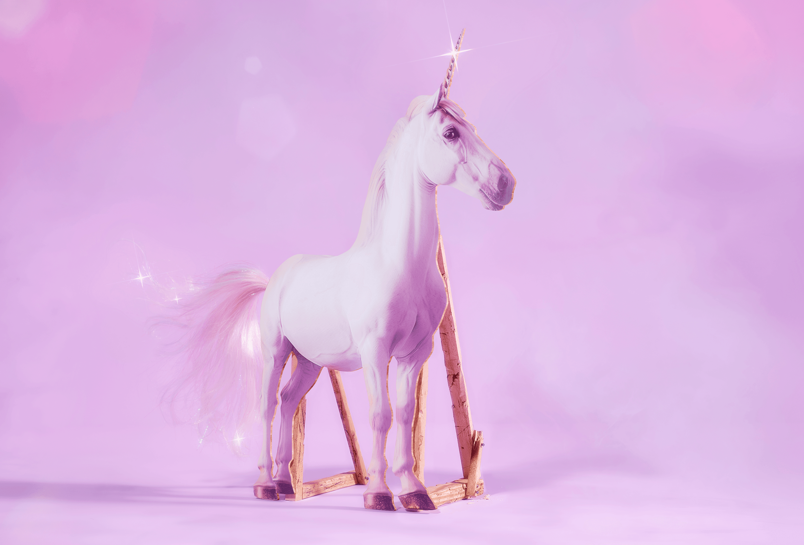 Real Pink Unicorns
