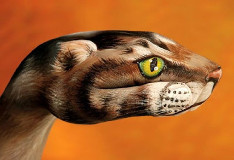 Amazing Cat Hand Painting Art - Love Meow