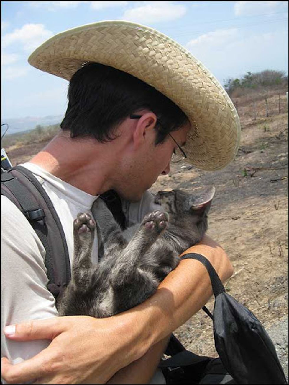 Kitty the Most Adventurous Backpacking Cat in the World - Love Meow