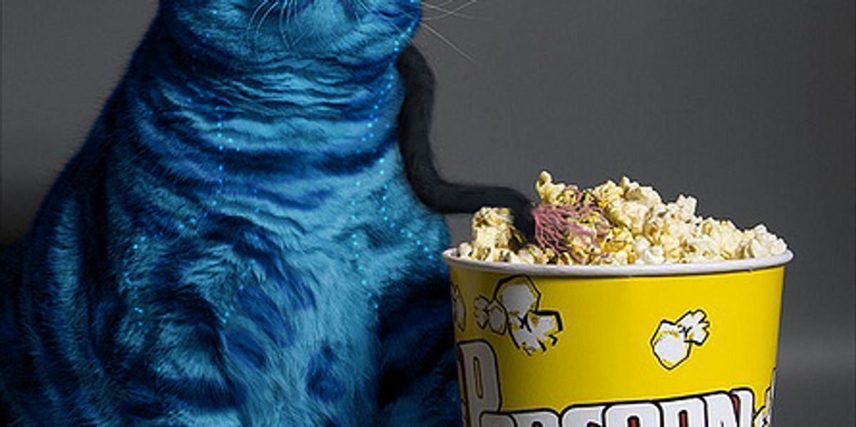 Avatar Cat - Love Meow