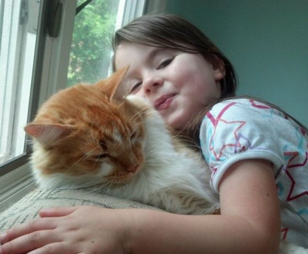 Ginger Cat and His Baby Sister Growing Up Together - Love Meow