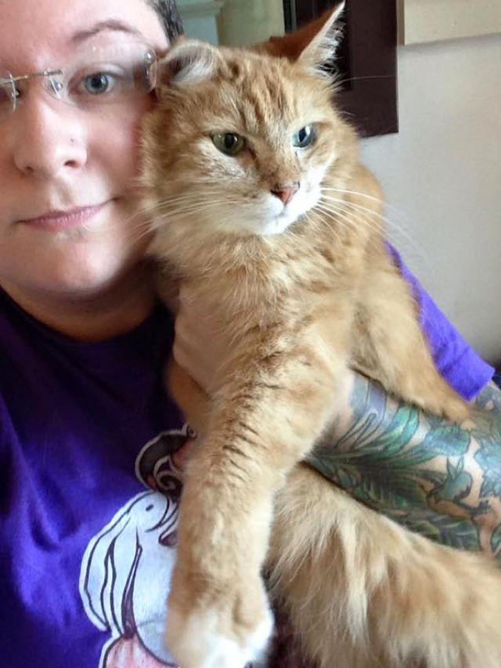 They Rescue a 20 Year-old Cat. Now She Tells Her Humans How Happy She ...