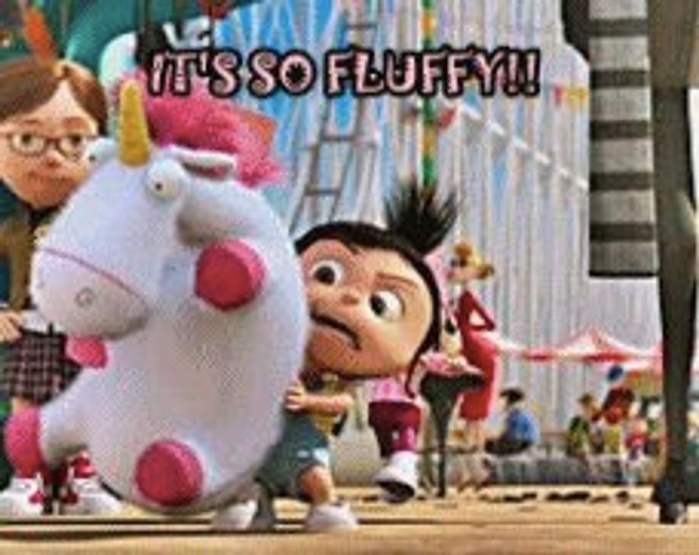 Kitten Nuzzles Human with His Soft Warm Face. She Can't Resist! - Love Meow