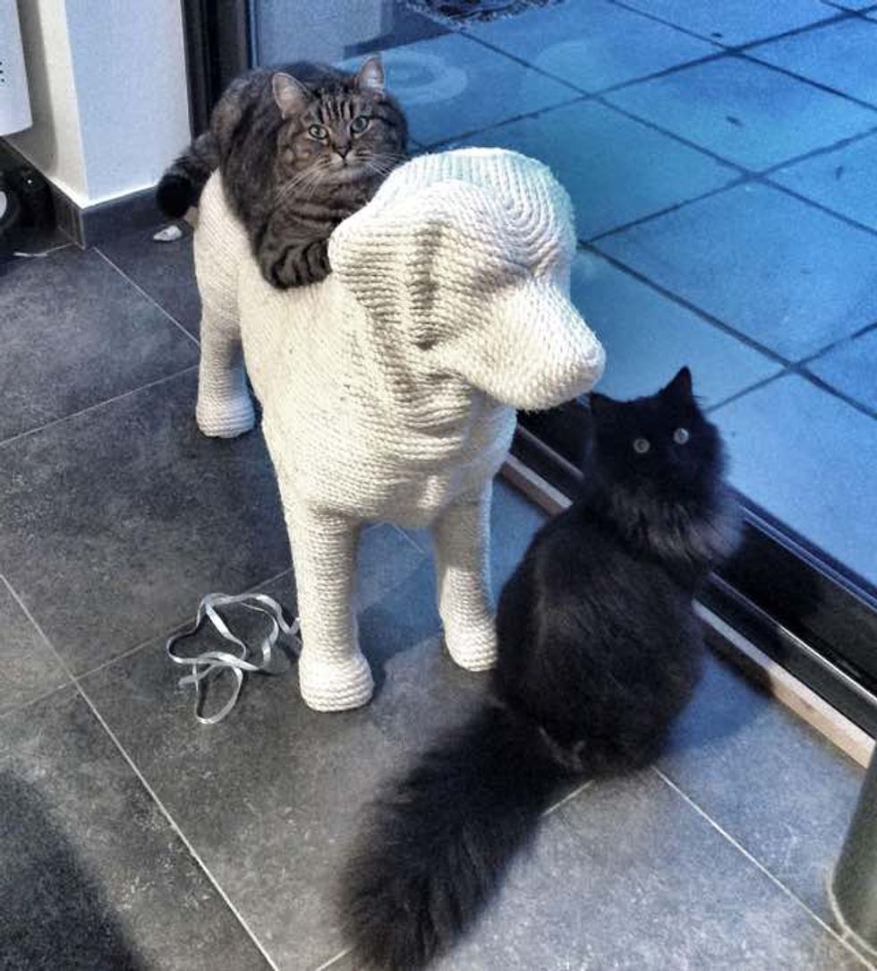 Man Builds Dog-shaped Scratching Post for His Beloved Cat - Love Meow