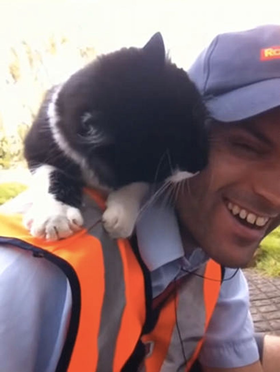 Postman Pat And His Black And White Cat - Love Meow