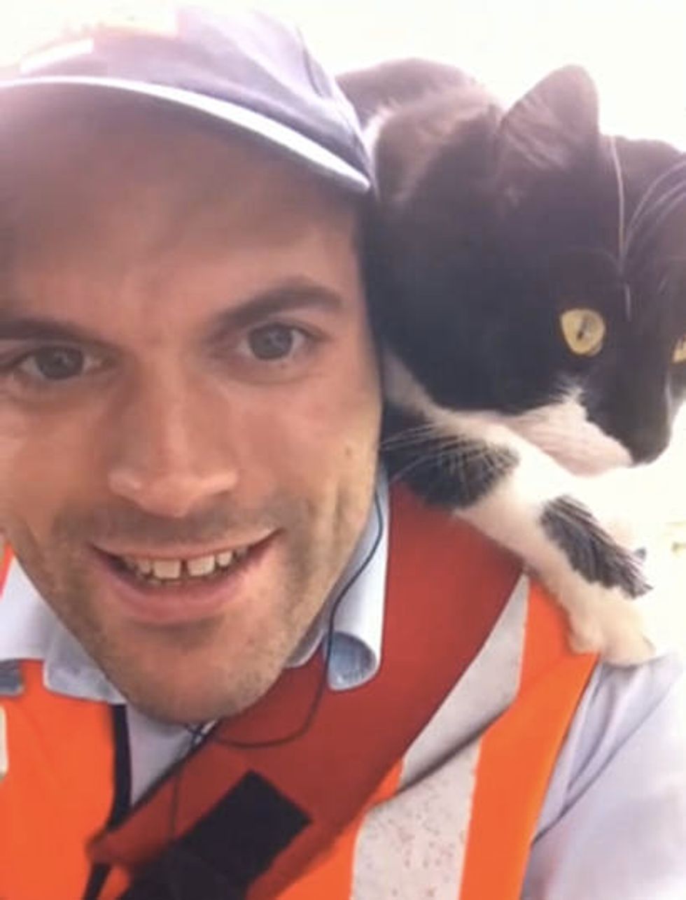 Postman Pat And His Black And White Cat - Love Meow