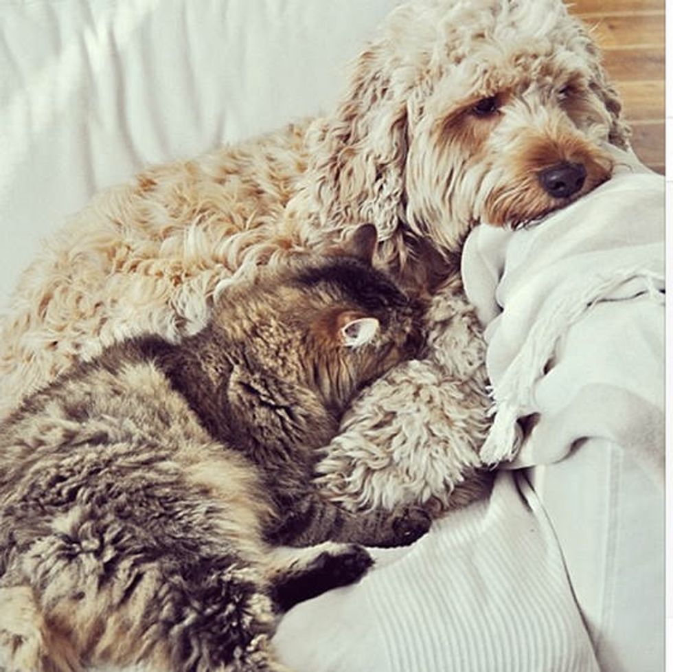 True Friends Always Stick Together - Love Meow