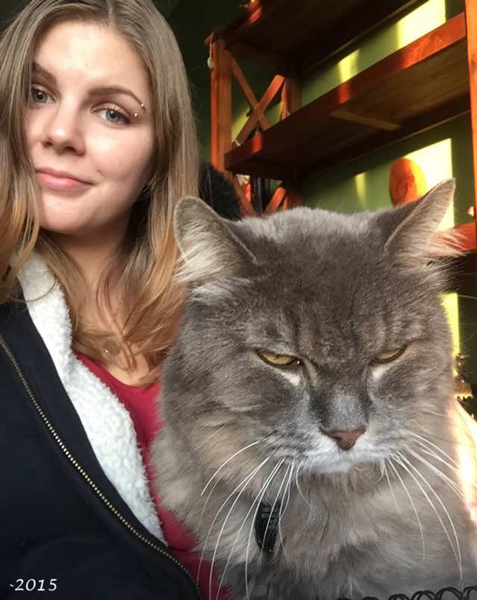 17 Years with a Cat, Growing Up and Growing Old Together - Love Meow