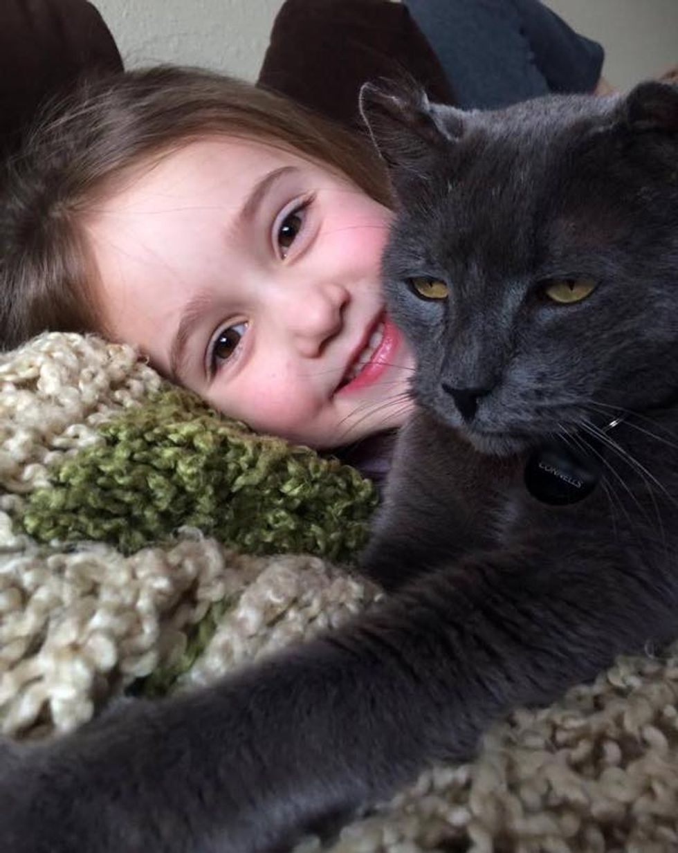 Cat Went Looking for His Human who was Deployed. 4 Years Later They ...