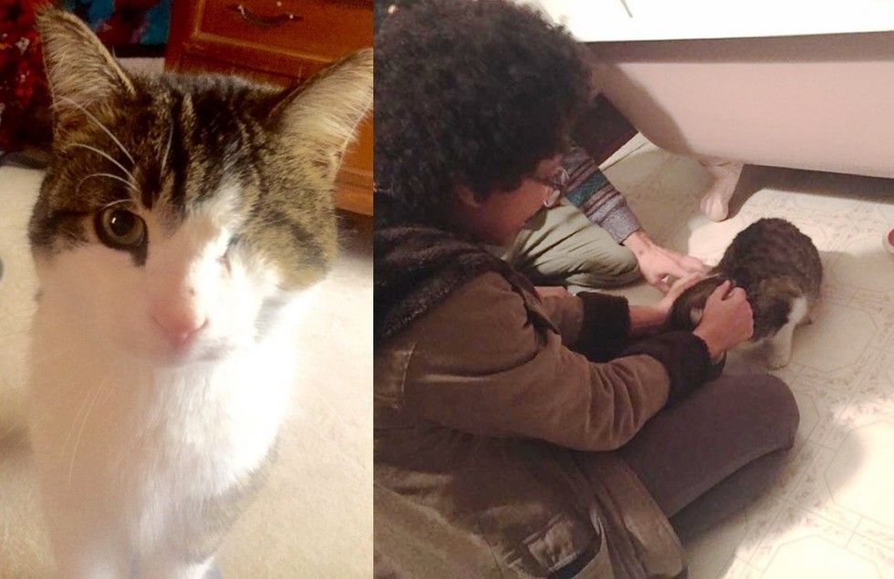 The Joy When this Lost One-eyed Cat Found His Family After 8 Months ...