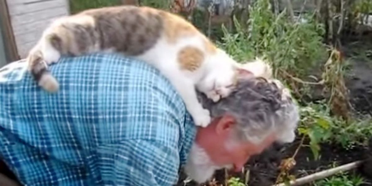 Cat Loves Her Human So Much, She Wants to Help While He Gardens - Love Meow