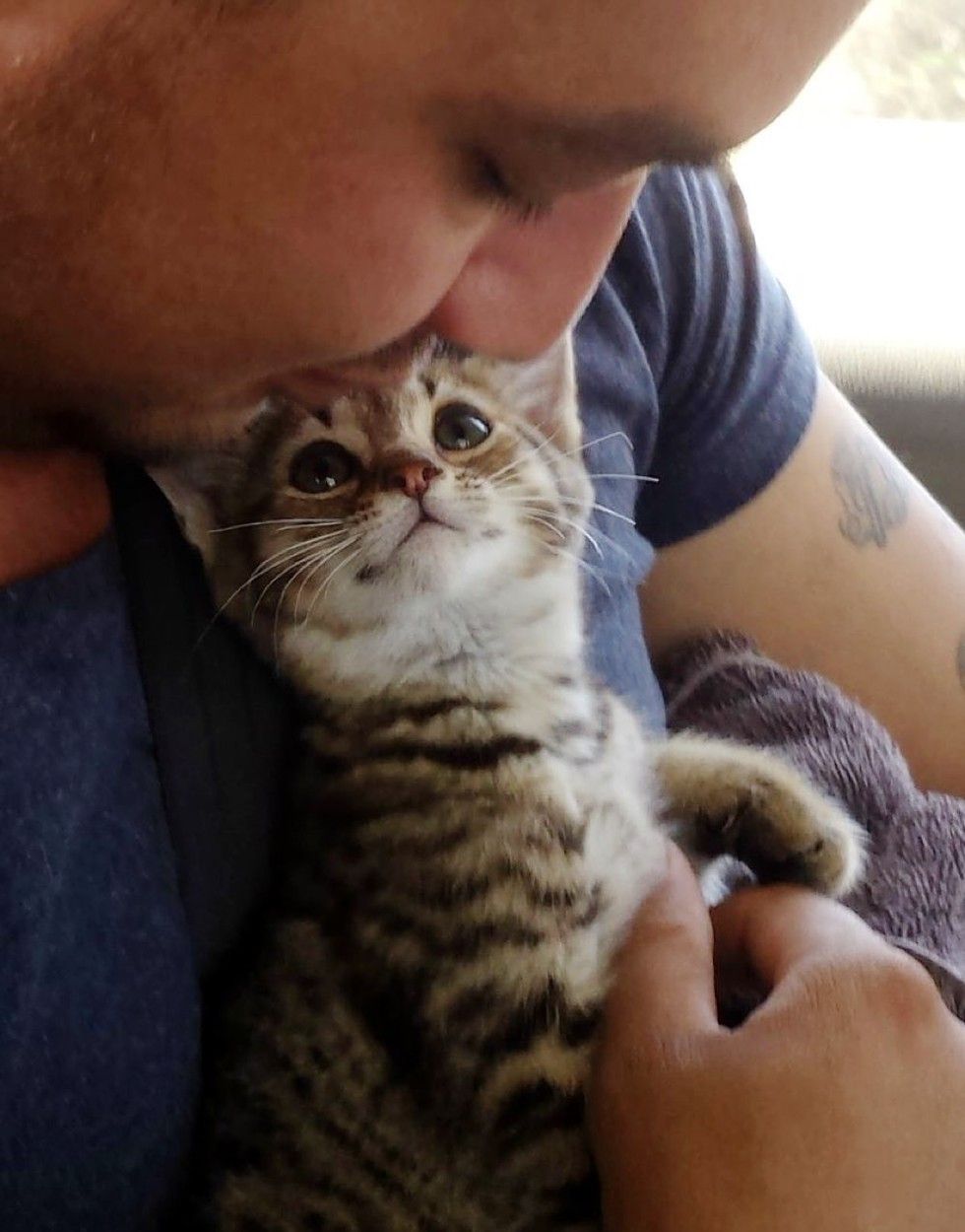 Happiness When This Kitten is Saved By His Rescuer - Love Meow