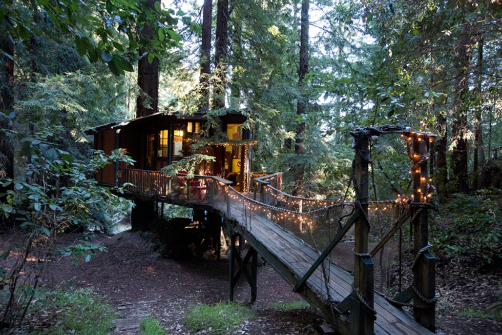 Escape From SF: The Redwood Treehouse - 7x7 Bay Area