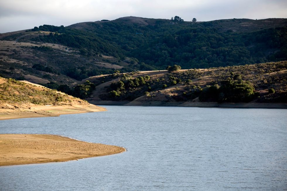 Escape From SF this Weekend to Nicasio Valley - 7x7 Bay Area