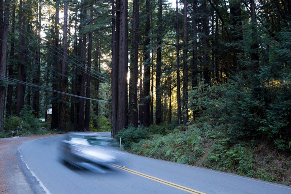 Escape From SF this Weekend to Nicasio Valley - 7x7 Bay Area