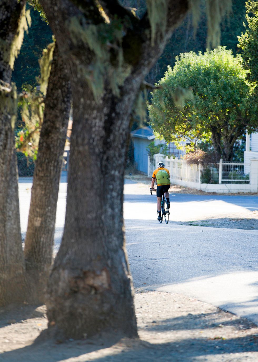 Escape From SF this Weekend to Nicasio Valley - 7x7 Bay Area