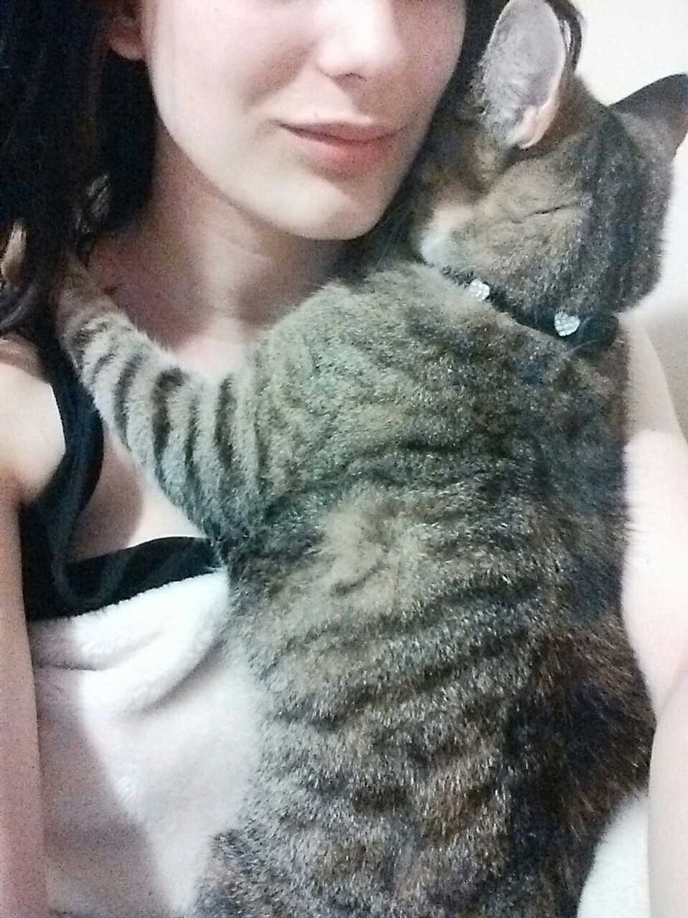 Cat Loves Her Human So Much She Hugs and Watches Over Her Every Step of ...