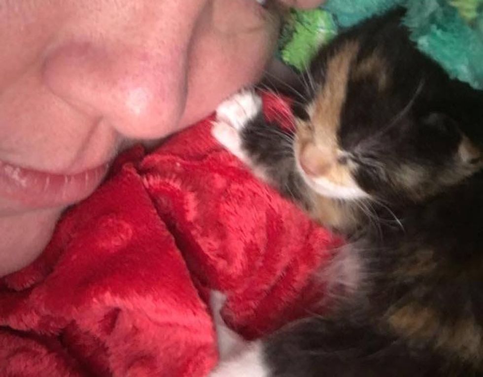 Orphaned Kitten Saved by Cancer Survivor, Returns the Favor by Rescuing ...