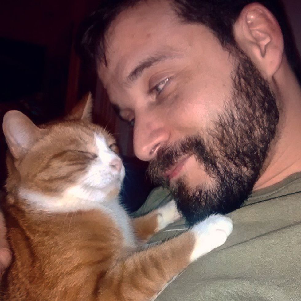 Man Took Cat Out of the Shelter and the Cat Hasn't Stopped Cuddling Him ...