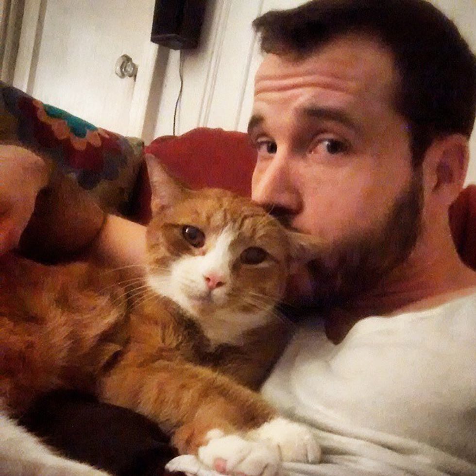 Man Took Cat Out of the Shelter and the Cat Hasn't Stopped Cuddling Him ...
