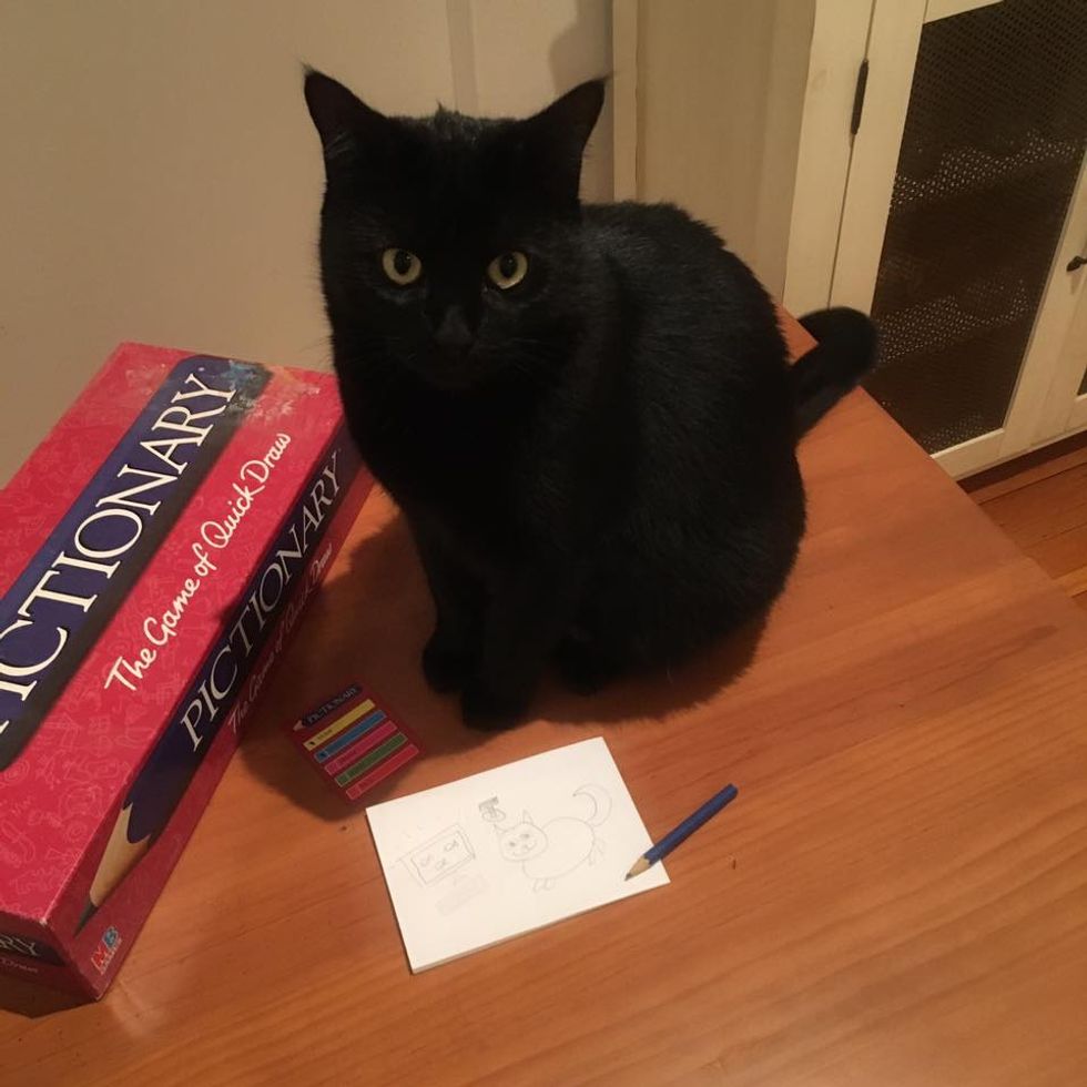 Cat Helps Her Human Get Internet Back and Saves Her from Boredom - Love ...