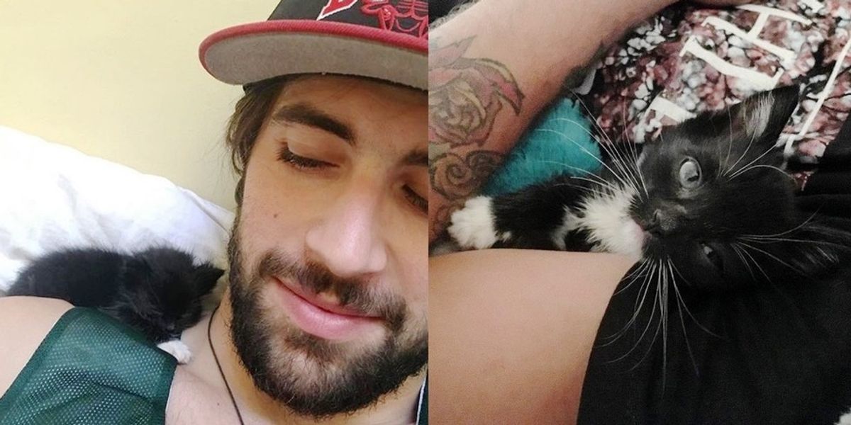 Runty Kitten Chooses His Rescuers to Be His Family for Life - Love Meow