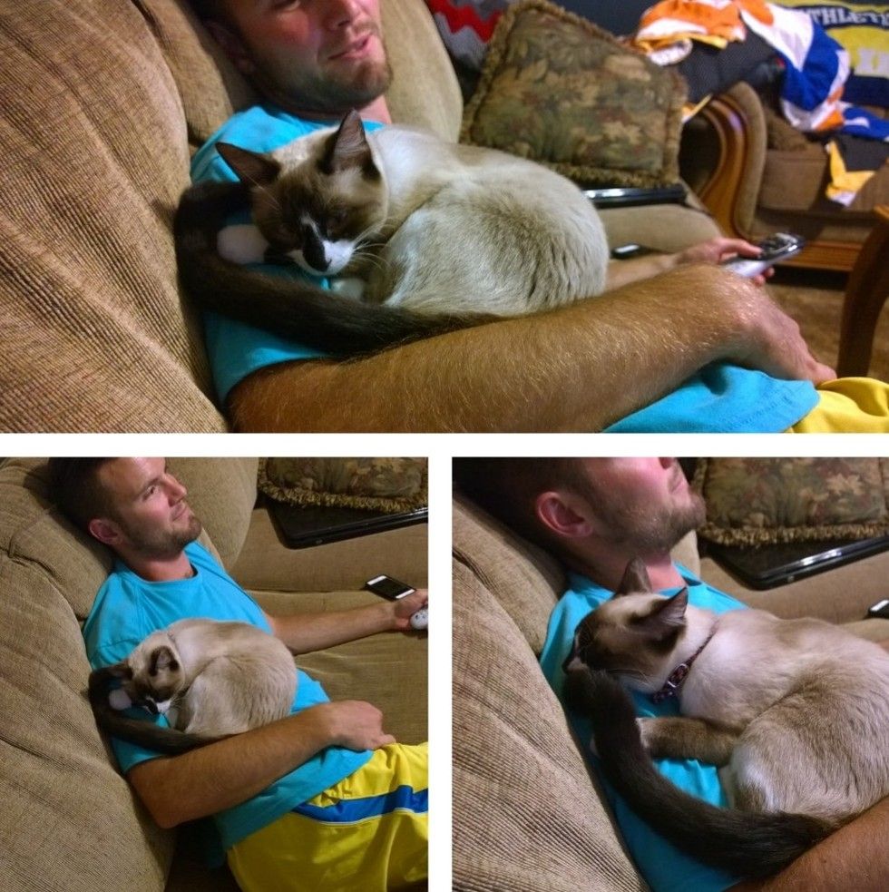 Man Saves Crying Orphaned Kitten who Feels Loved After Just a Few Pets ...