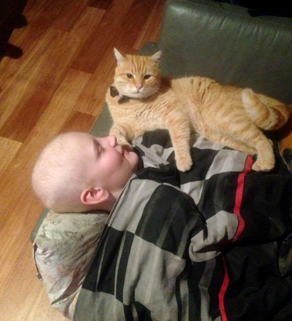Boy Saves Abandoned Cat From Street, the Kitty Returns the Favor - Love ...