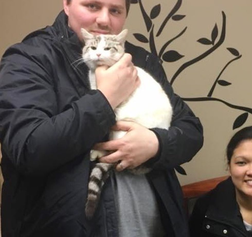 Abandoned Cat With Sad Eyes Showed Up on Doorstep, Begging for Warmth ...