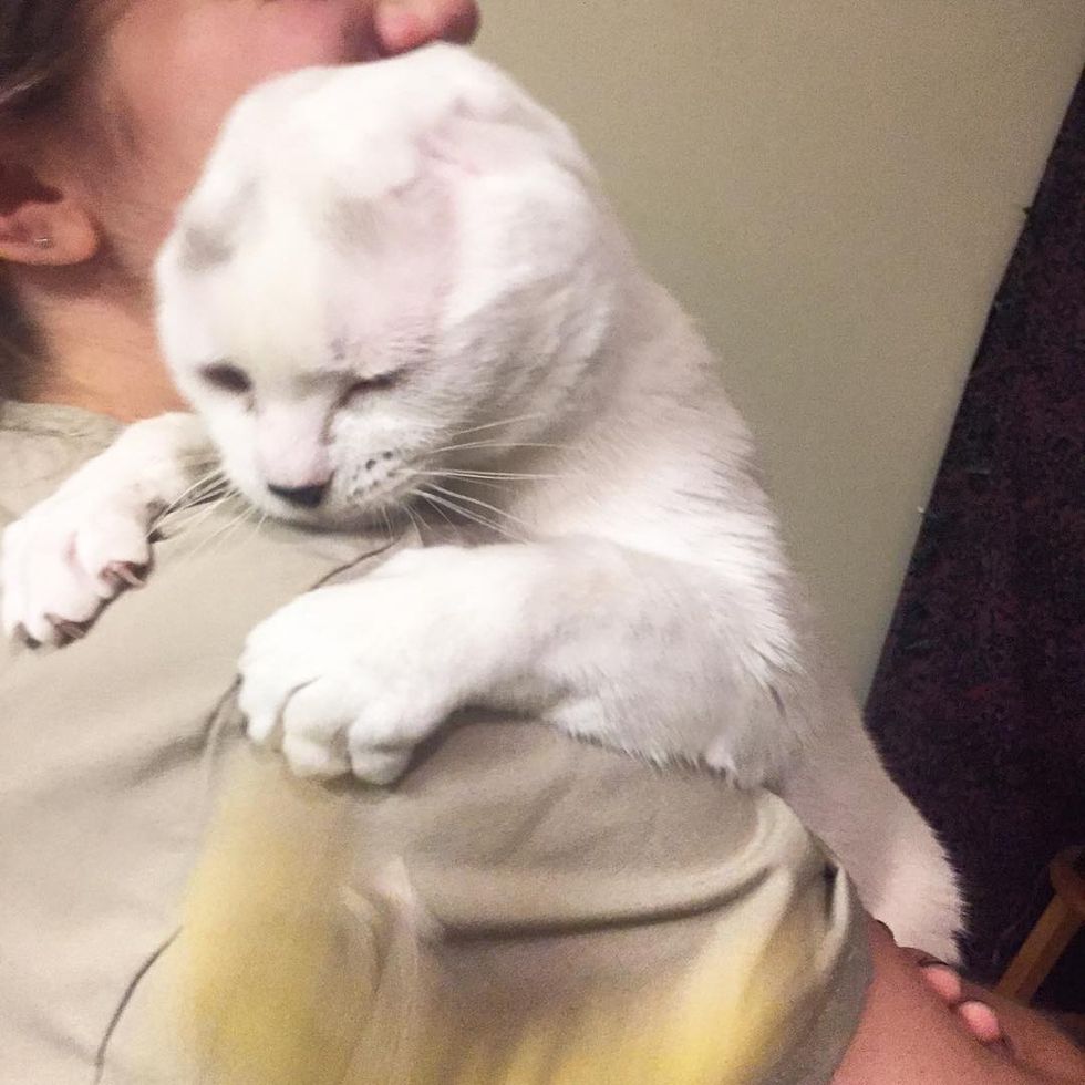 Woman Takes a Chance on Earless Senior Cat While Others Pass Him By, A ...