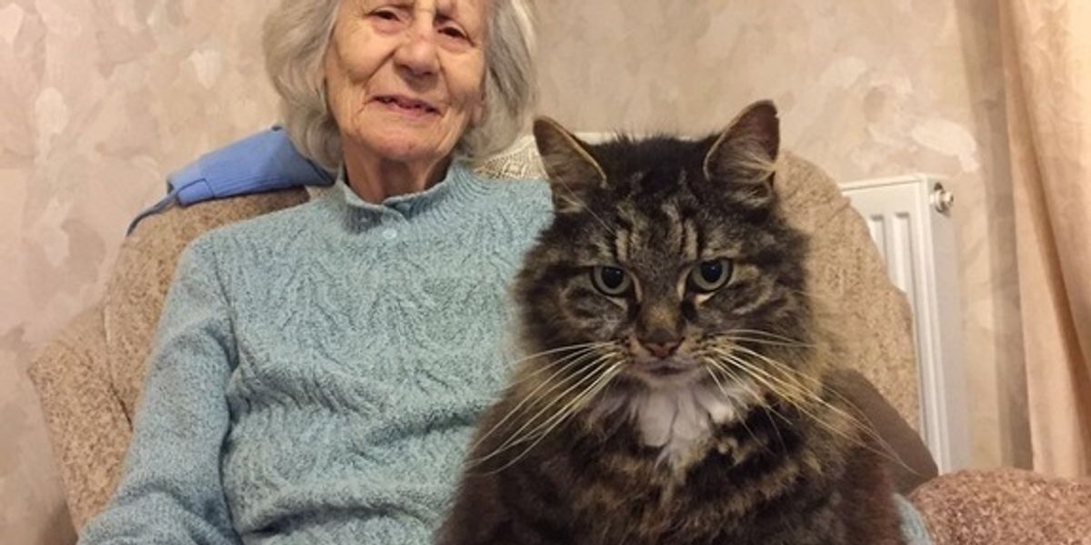 Cat Brings Meaning to 90 Year Old Grandma and is the Love of Her Life ...