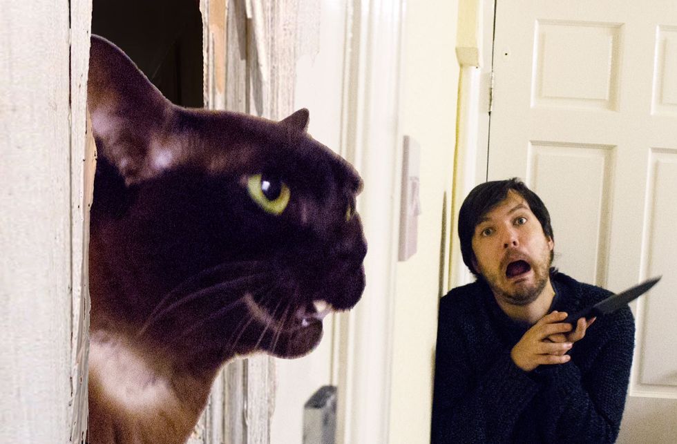 Guy and His Cats Recreate Famous Movie Scenes Together.. - Love Meow