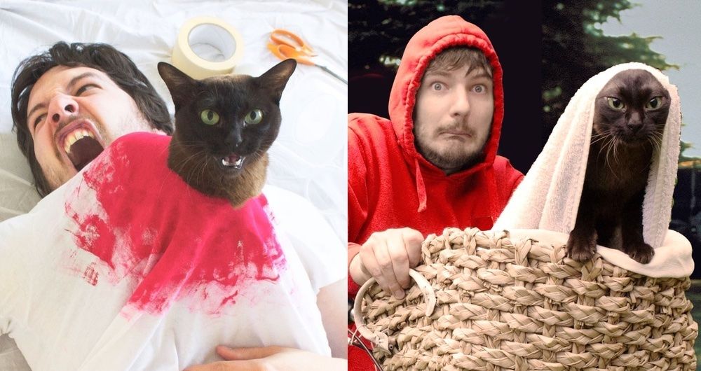 Guy and His Cats Recreate Famous Movie Scenes Together.. - Love Meow