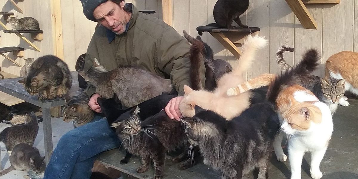 Man Saves Over 300 Homeless Cats After Losing His Son in an Accident ...