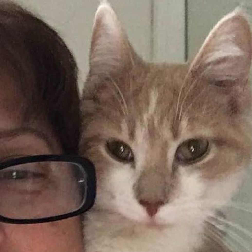 Rescue Cat So Happy to Be Adopted He Can't Stop Hugging His Human ...