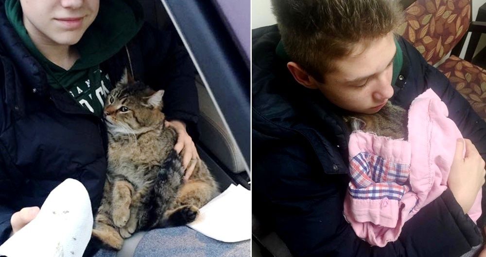 14-year Old Boy Dives into Overpass to Save Cat Hanging Over Bridge ...