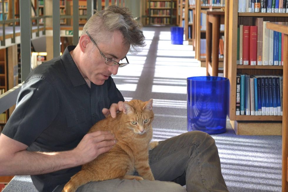 3-legged Library Cat Helps 140 Students De-stress Before Exams ...