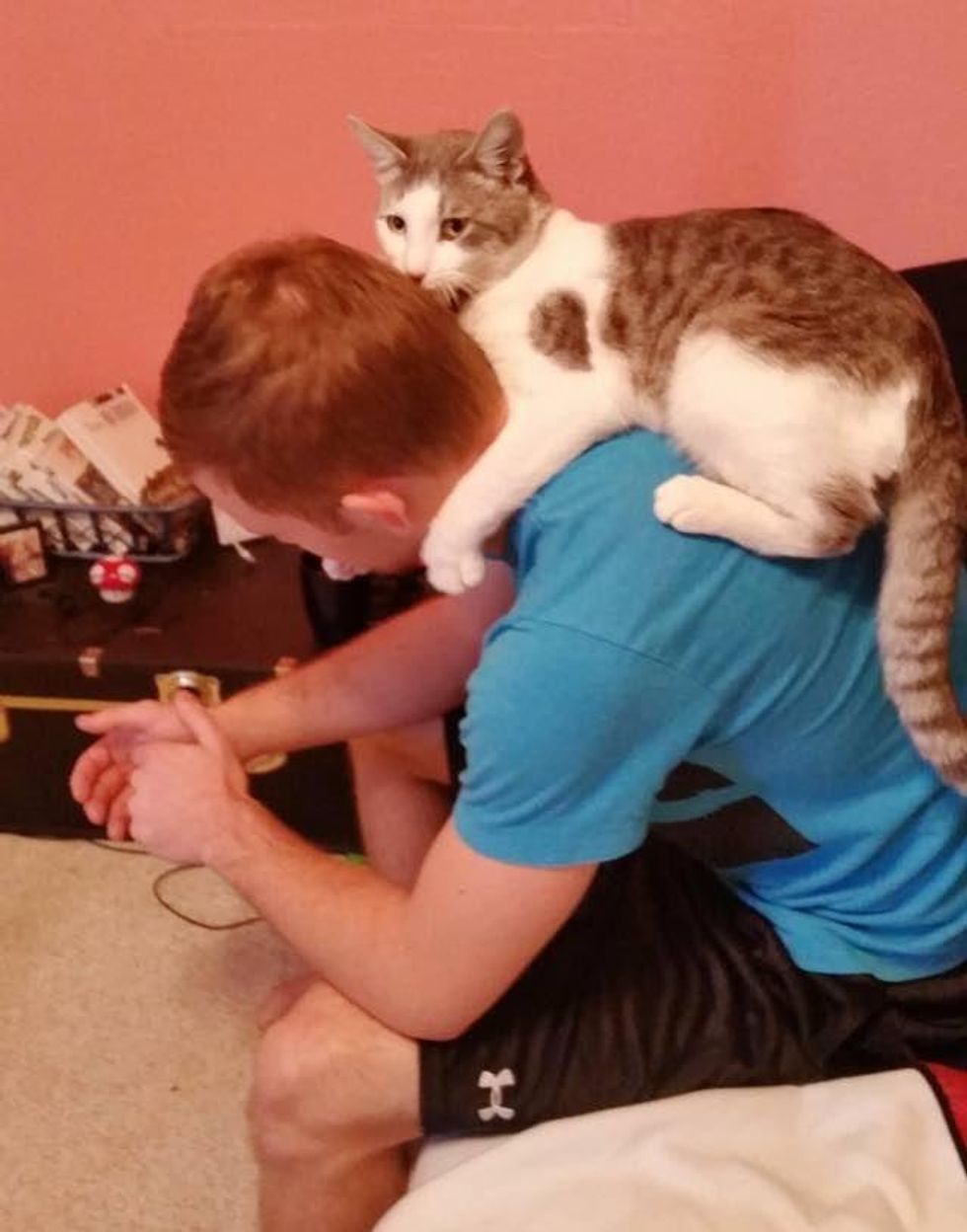 Shelter Cat Climbs on Man's Shoulders Asking Him to Be His Forever ...