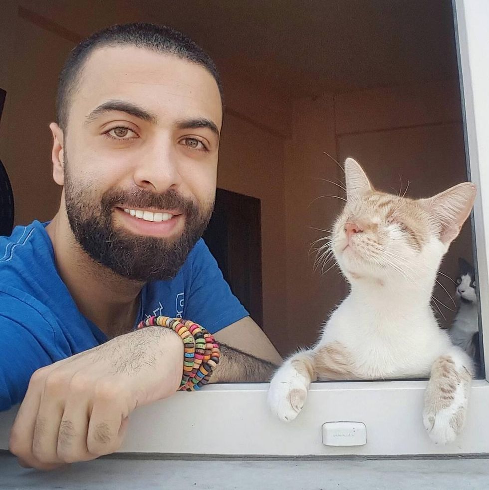Pianist Saves Injured Cats from Streets and They Become His Most Loyal ...