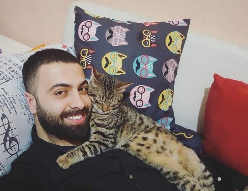 Pianist Saves Injured Cats from Streets and They Become His Most Loyal ...