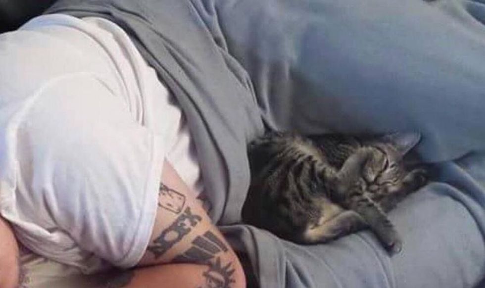Man Saves Saddest Shelter Cat He's Seen, They Haven't Stopped Cuddling ...