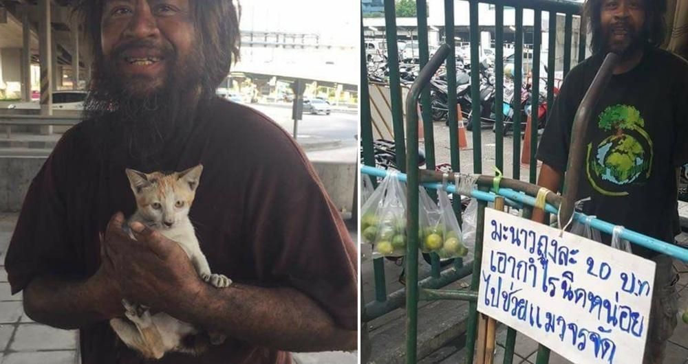 Homeless Man Raises Funds to Feed Stray Cats Before Himself Every Day ...