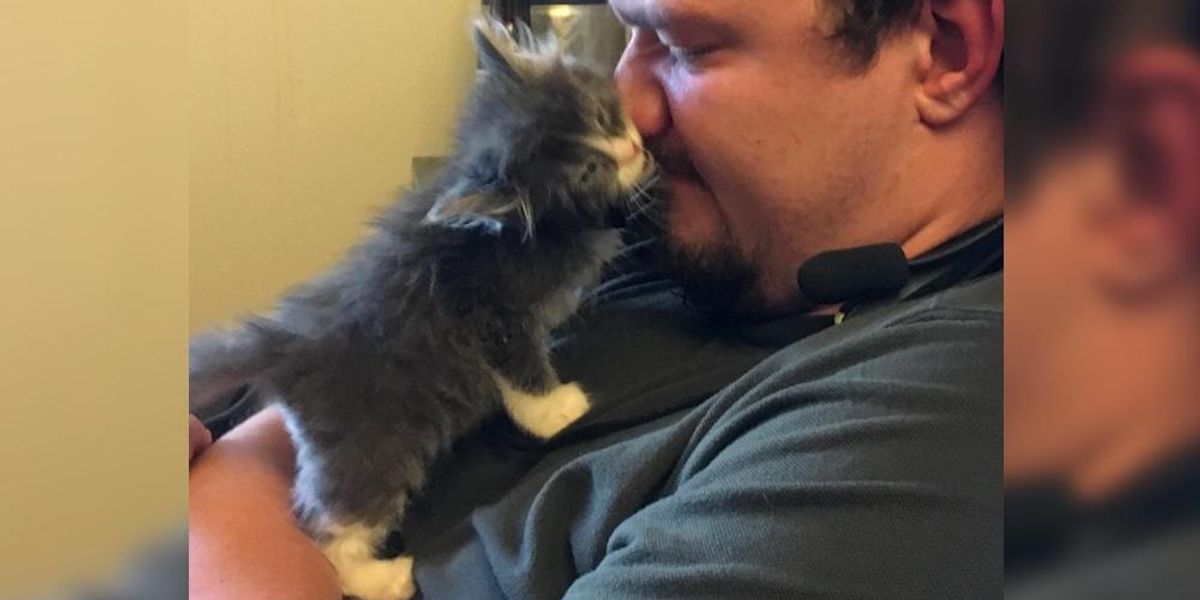 Kitten Cuddles Man Who Never Had a Cat and Makes Him His Forever Human ...