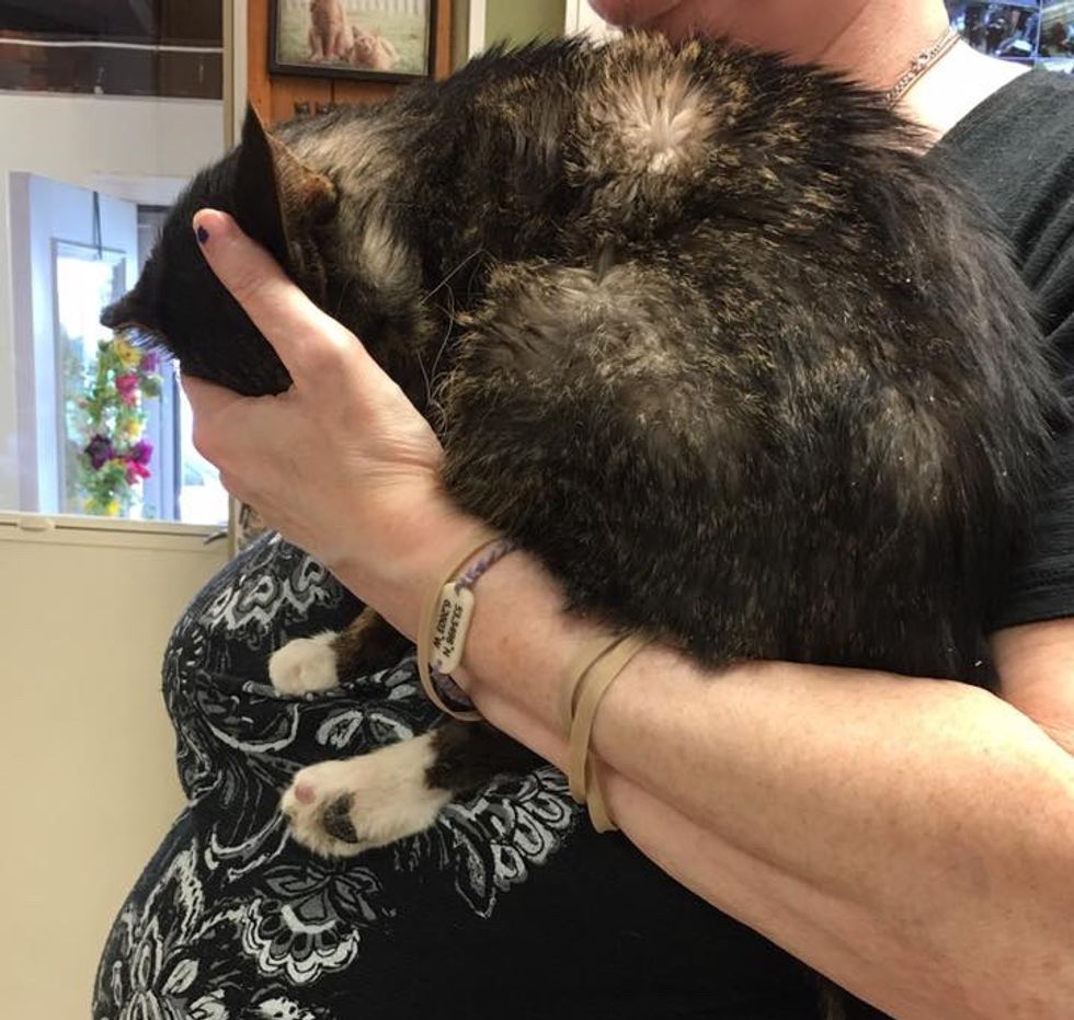 15-year-old Scraggly Shelter Cat Found Humans He'd Been Waiting for All ...