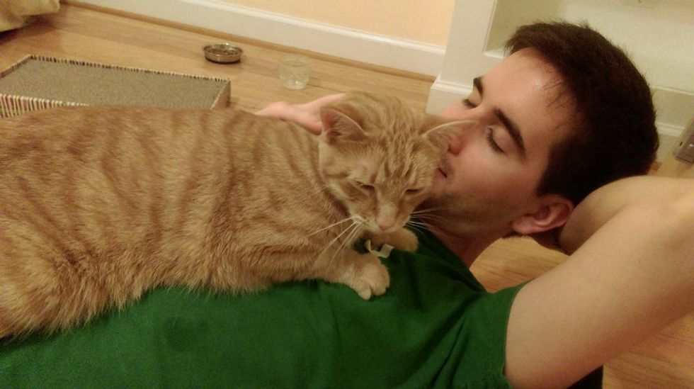 Cat too Scared to Leave His Box at Shelter, Then 3 Hours After Adoption ...